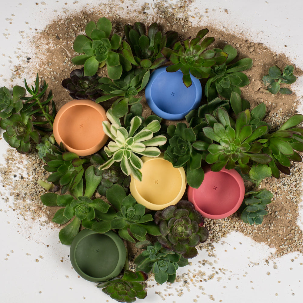 What is a Copita? - TUYO NYC